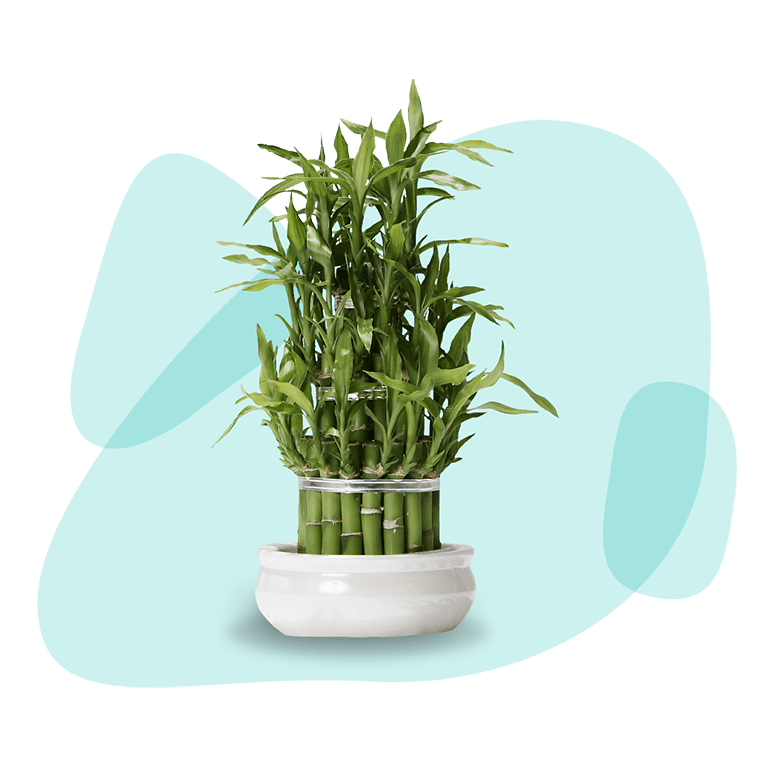 FondsSparen mit Fondssparplan - ab 50 € monatlich | bawag.at